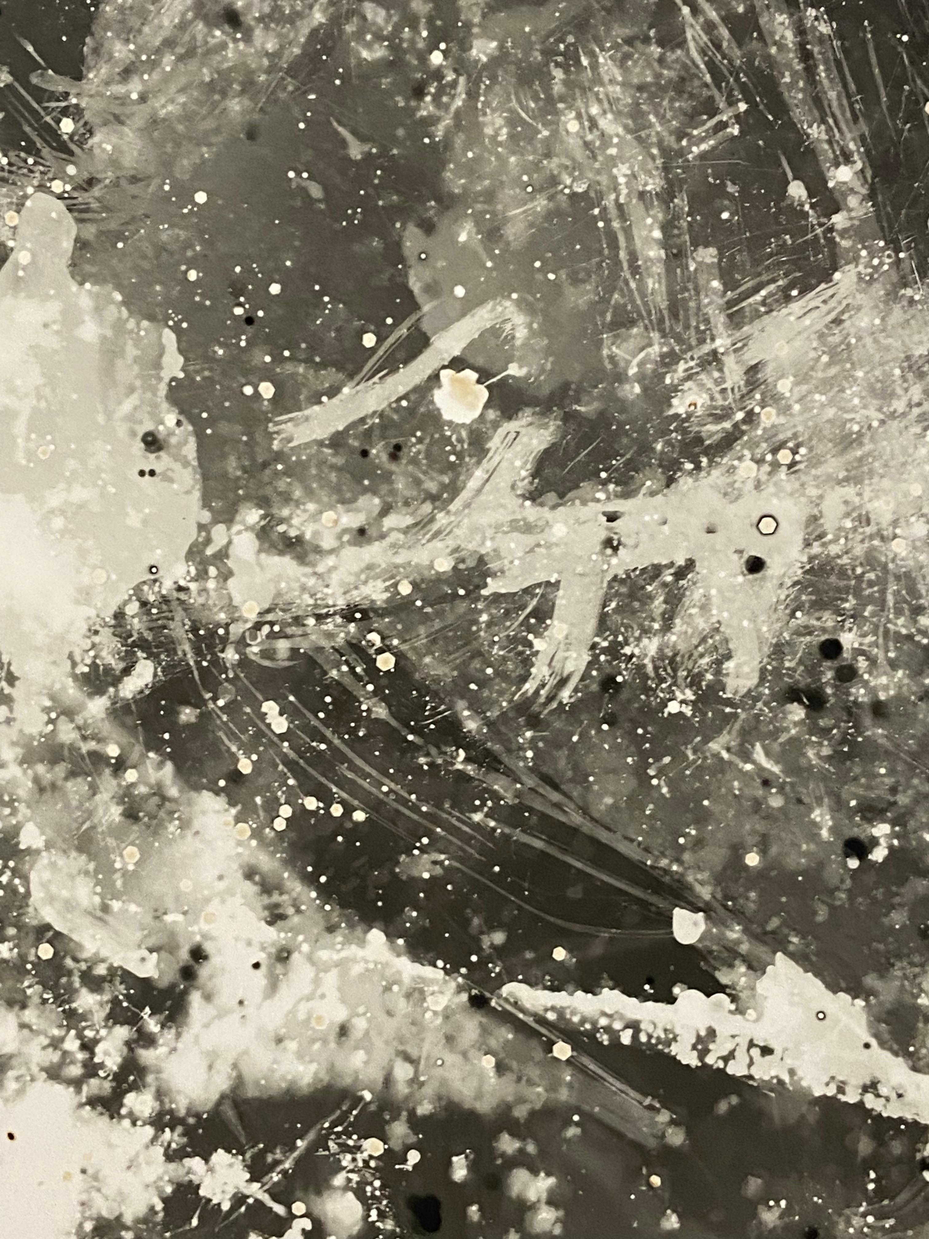 Kimberly Schneider Photography - Pollock- unique abstract black and ...