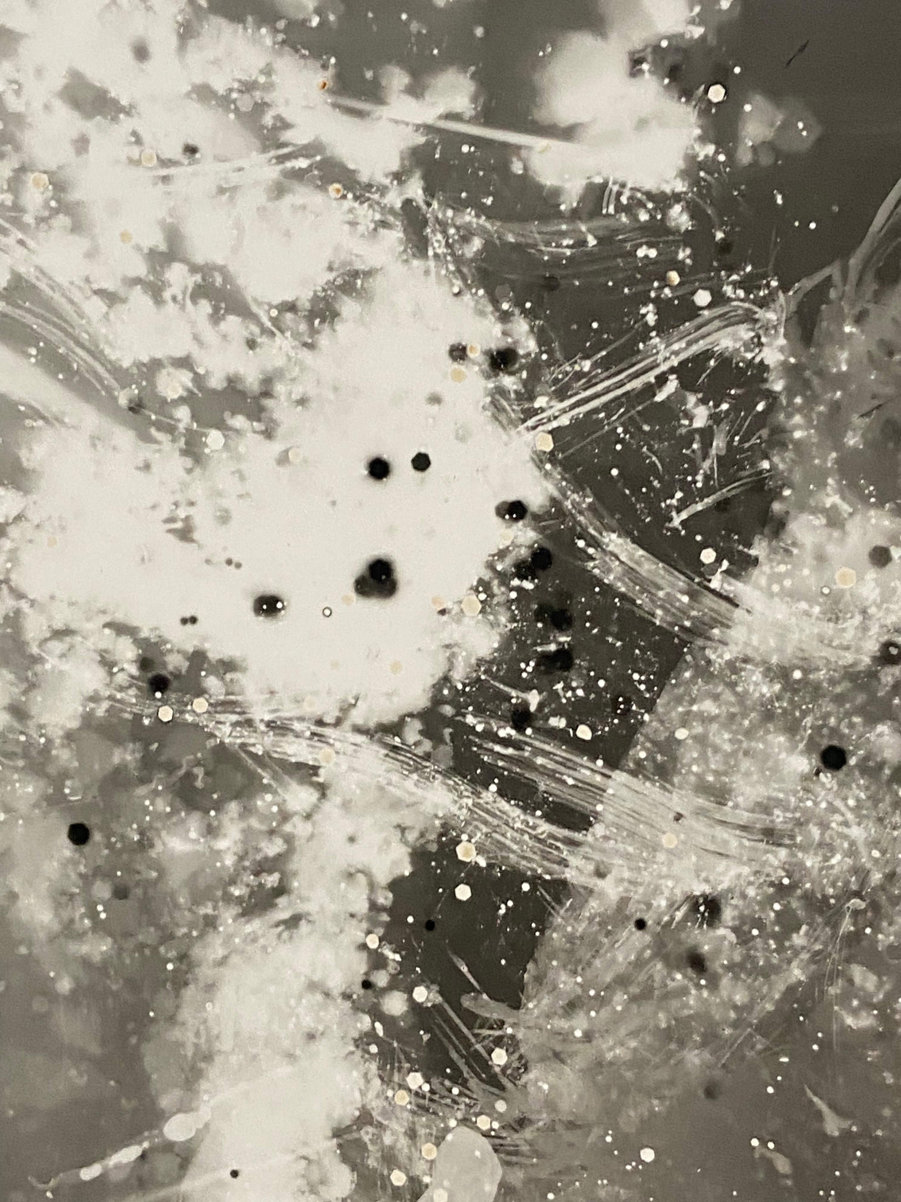 Kimberly Schneider Photography - Pollock- unique abstract black and ...