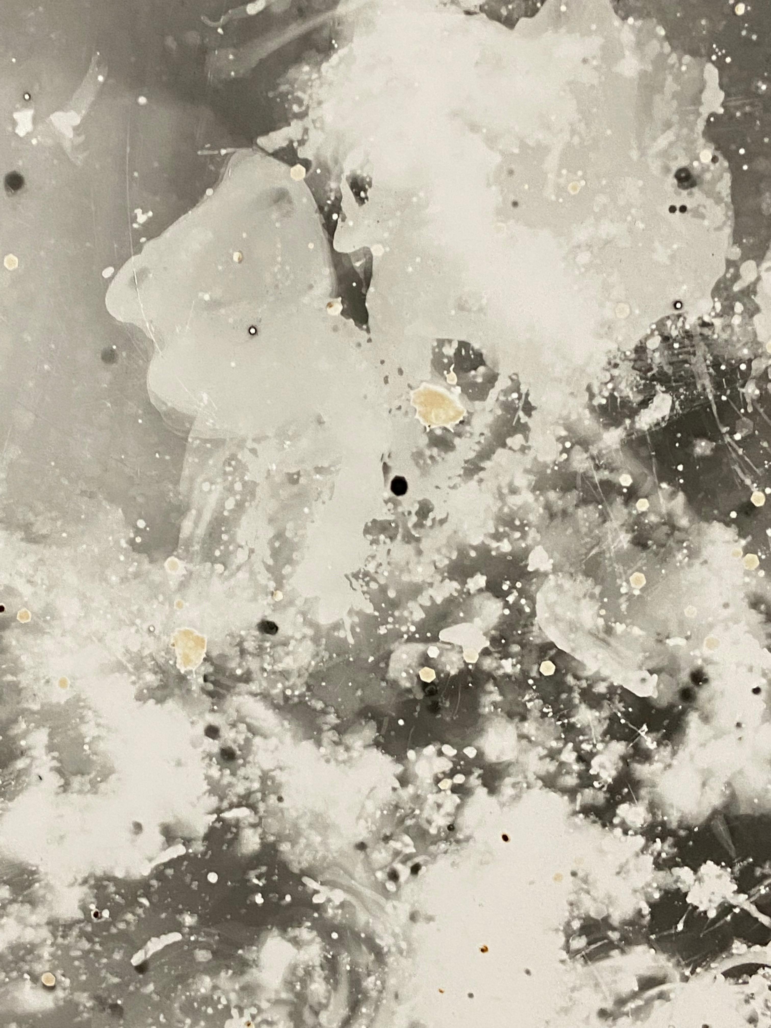 Kimberly Schneider Photography - Pollock- unique abstract black and ...