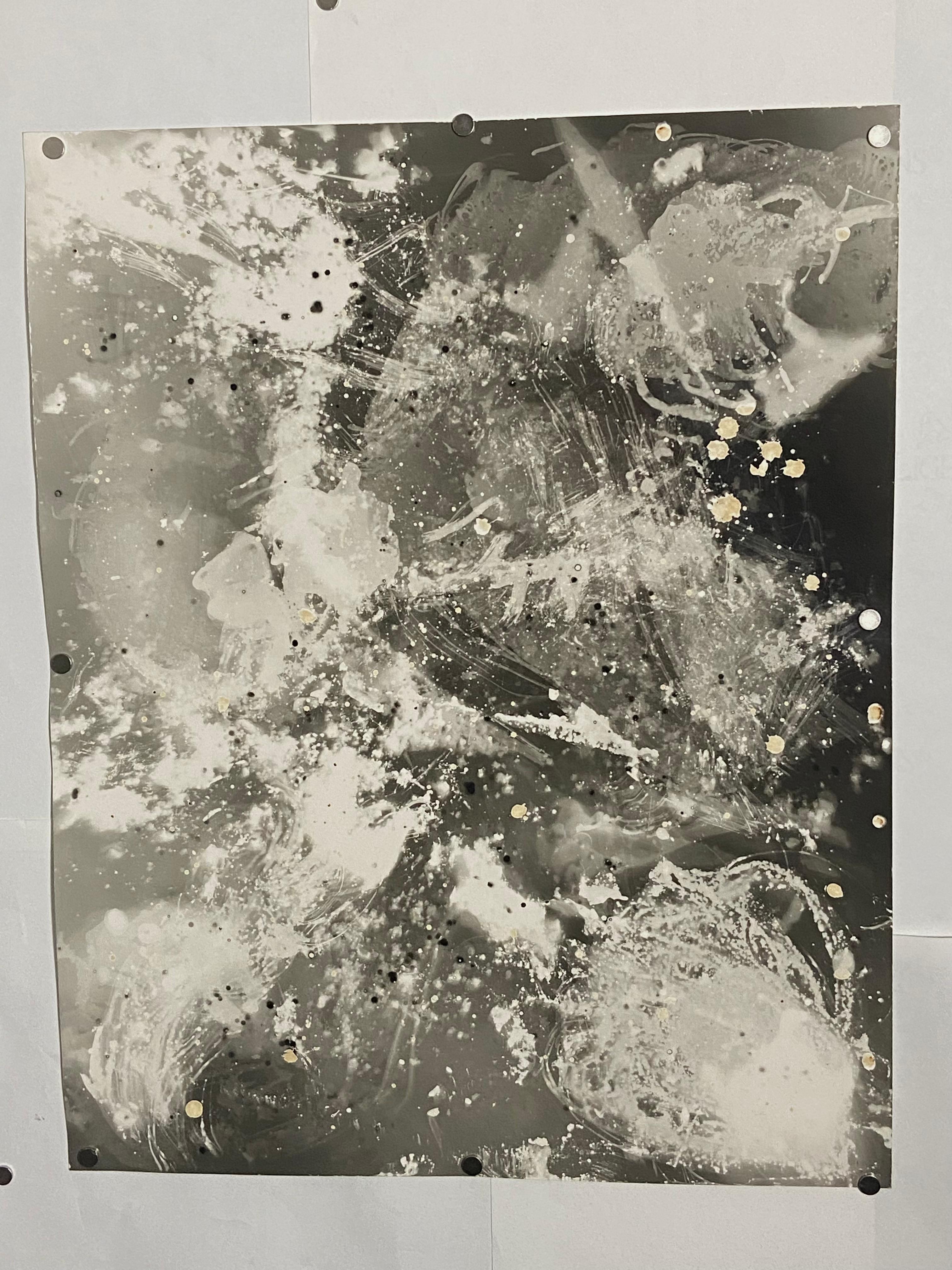 Kimberly Schneider Photography - Pollock- unique abstract black and ...