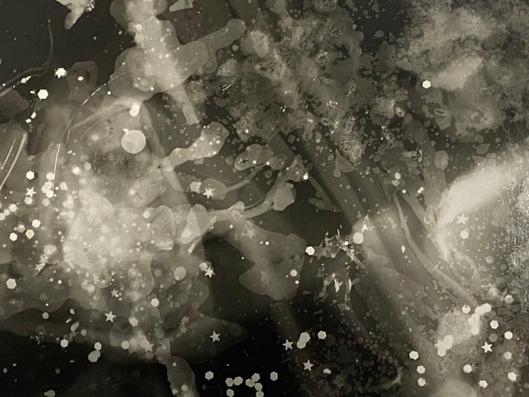 Kimberly Schneider Photography - Snowy Weather (aka Two of Hearts ...