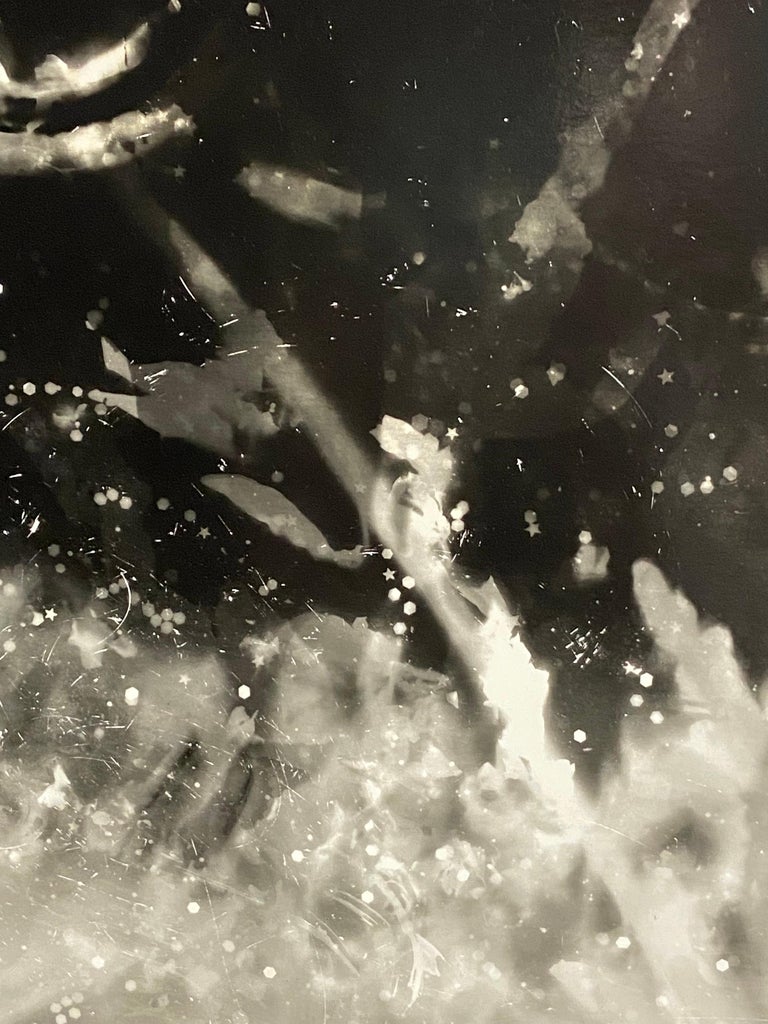 Kimberly Schneider Photography - Sunburn (Blades of Grass)- unique ...