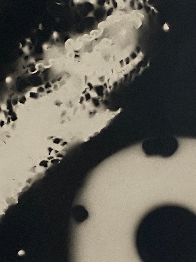 Kimberly Schneider Photography - The Jazz Singer - black and white ...