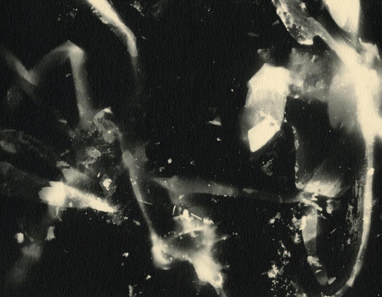 Kimberly Schneider Photography - Within Reach - unique black-and-white ...