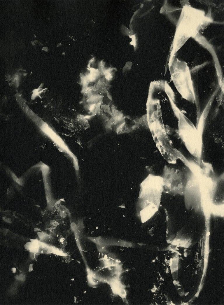 Kimberly Schneider Photography - Within Reach - unique black-and-white ...