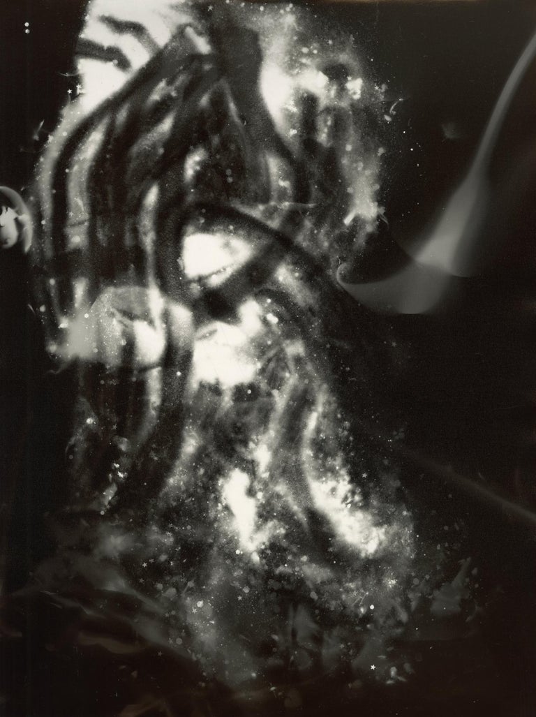 Kimberly Schneider Photography - X-Ray Vision - contemporary scientific ...