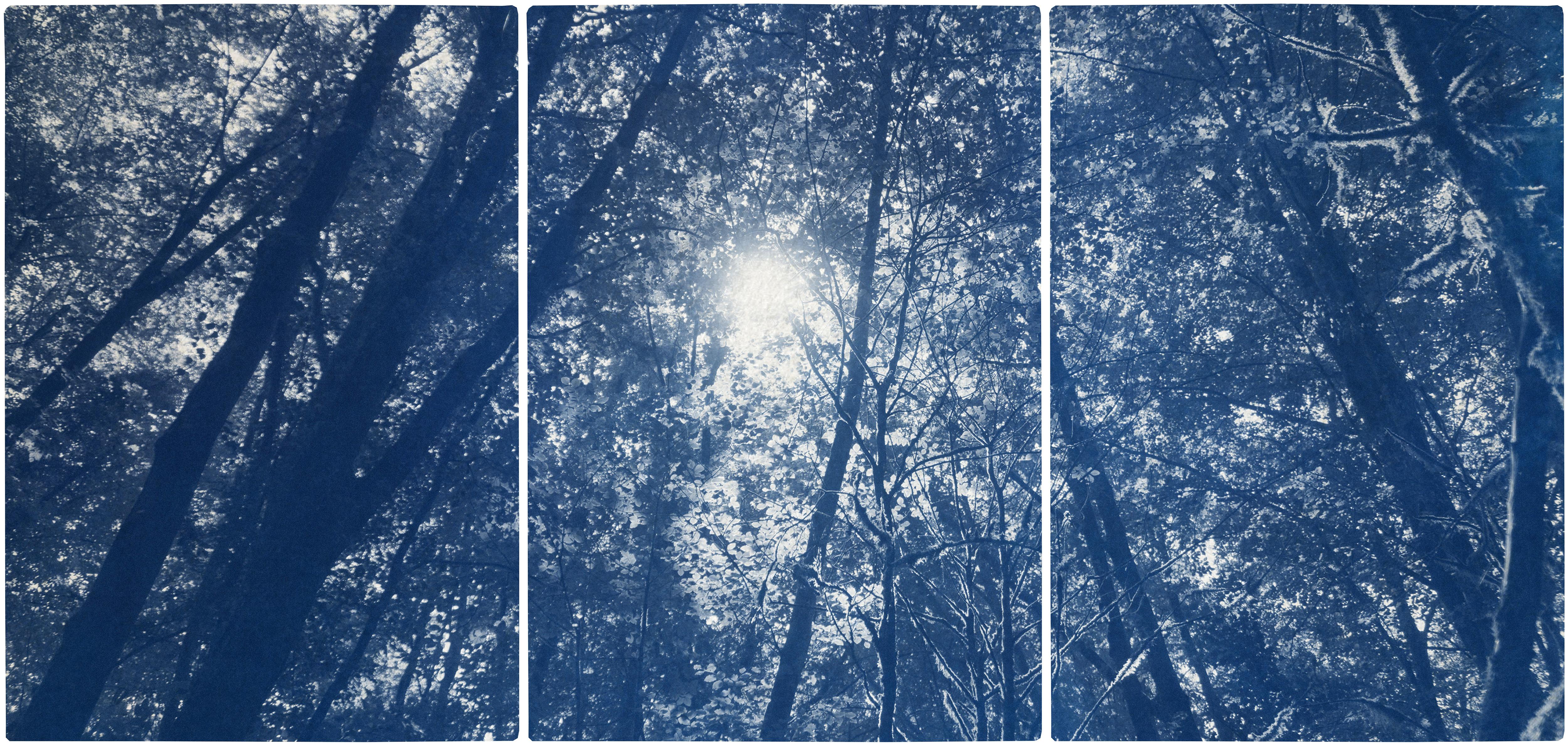 Kind of Cyan - Nighttime Fireworks Flaring, Nocturnal Skyline, Summer ...