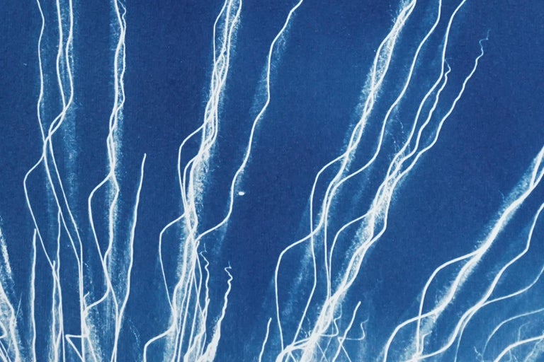 Kind of Cyan - Glowing Fireworks Lights, Blue and White Contemporary ...