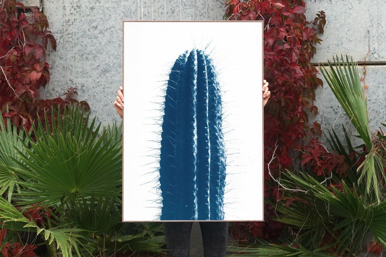 Kind of Cyan - Blue Upright Desert Cactus, Extra Large Cyanotype Print ...