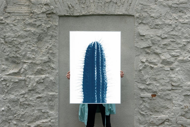 Kind of Cyan - Blue Upright Desert Cactus, Extra Large Cyanotype Print ...