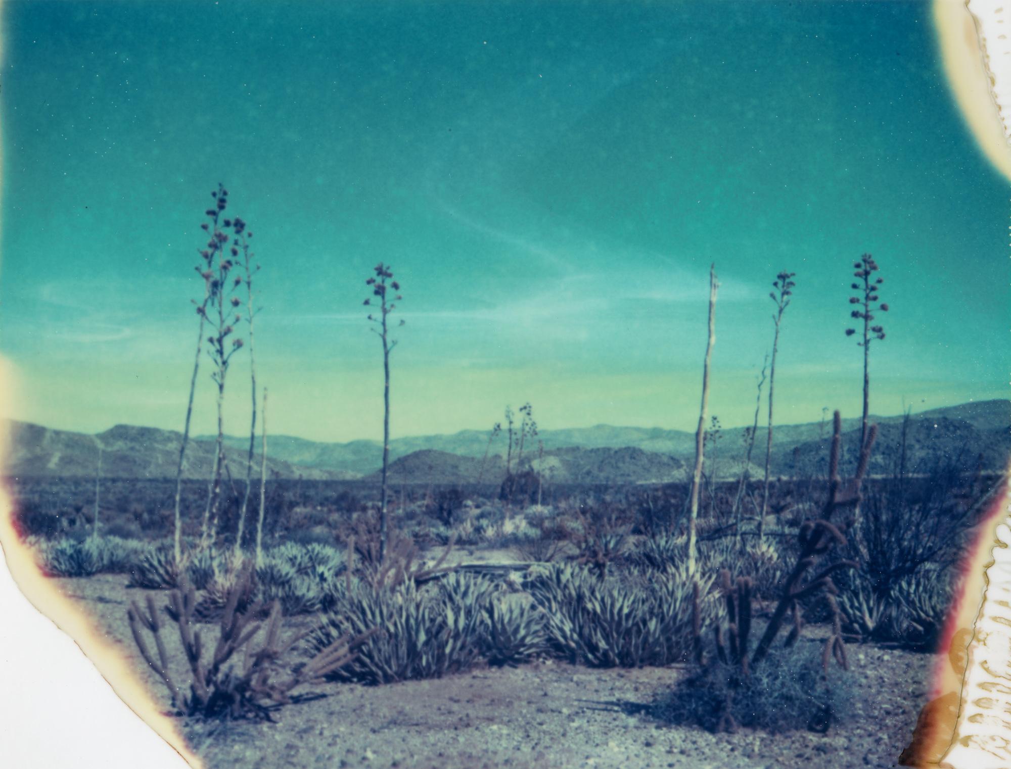 Kirsten Thys van den Audenaerde - Ski Inn (Bombay Beach), 21st Century ...