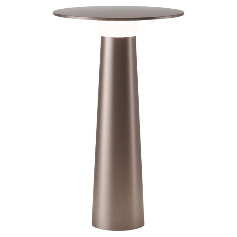 Klaus Nolting 'Lix' Portable Outdoor Aluminum Table Lamp in Bronze for ...