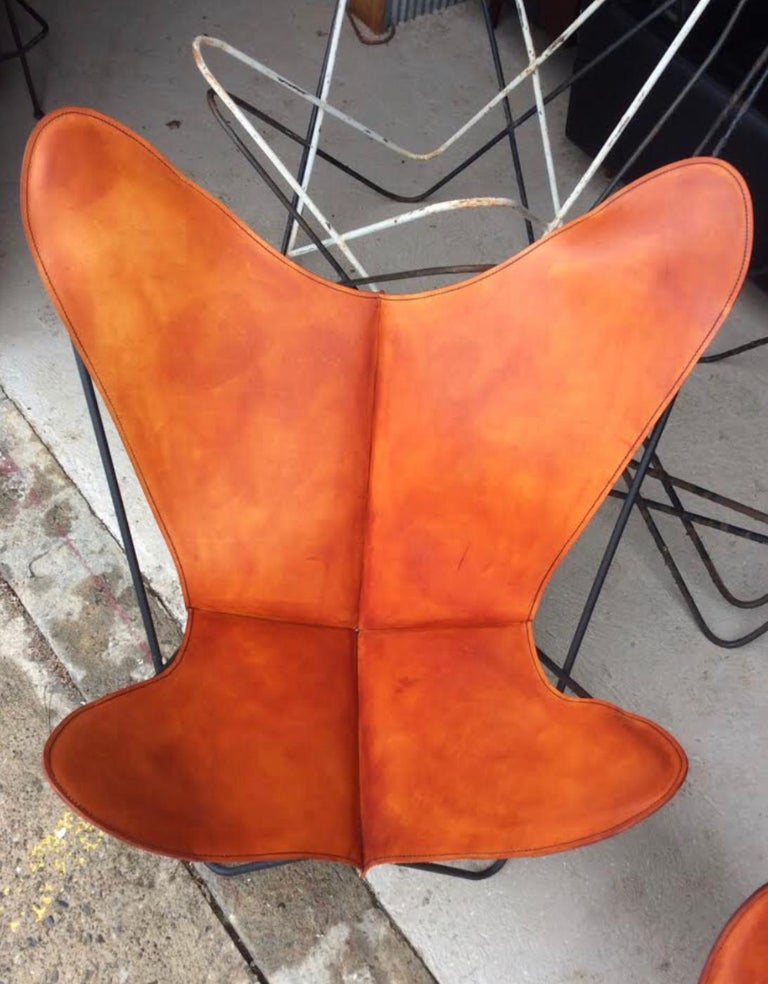 Knoll Hardoy Vintage BFK Butterfly Sling Chairs with New Leather at ...