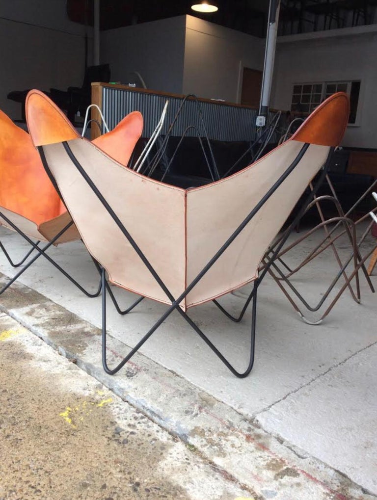 Knoll Hardoy Vintage BFK Butterfly Sling Chairs with New Leather at ...