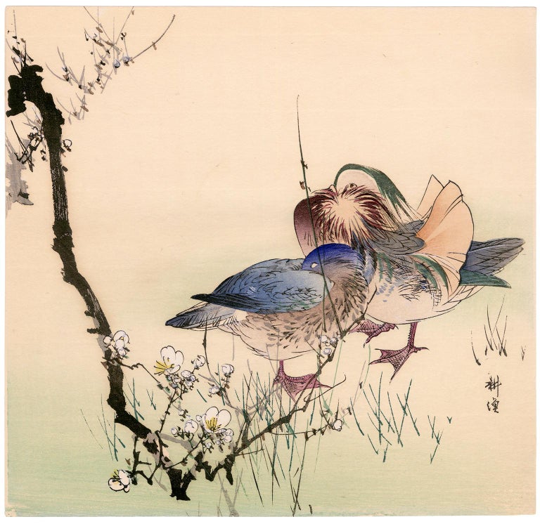 Kogyo Tsukioka - 'Mandarin Ducks' — Japanese Woodblock Print, c. 1910 ...