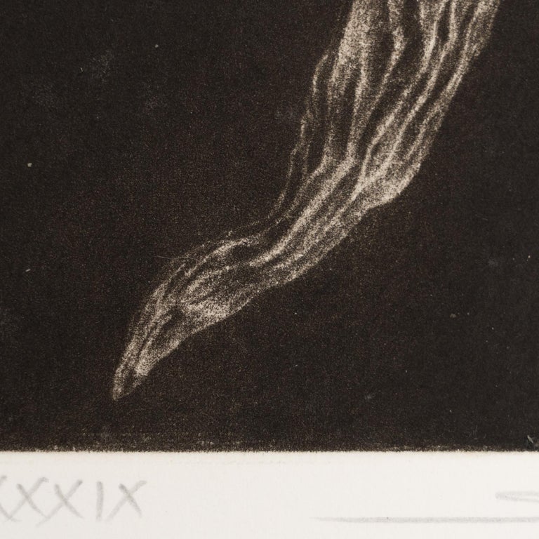 Koichi Sugihara 'Sensual Object 110' Lithograph, circa 1997 For Sale at 1stDibs