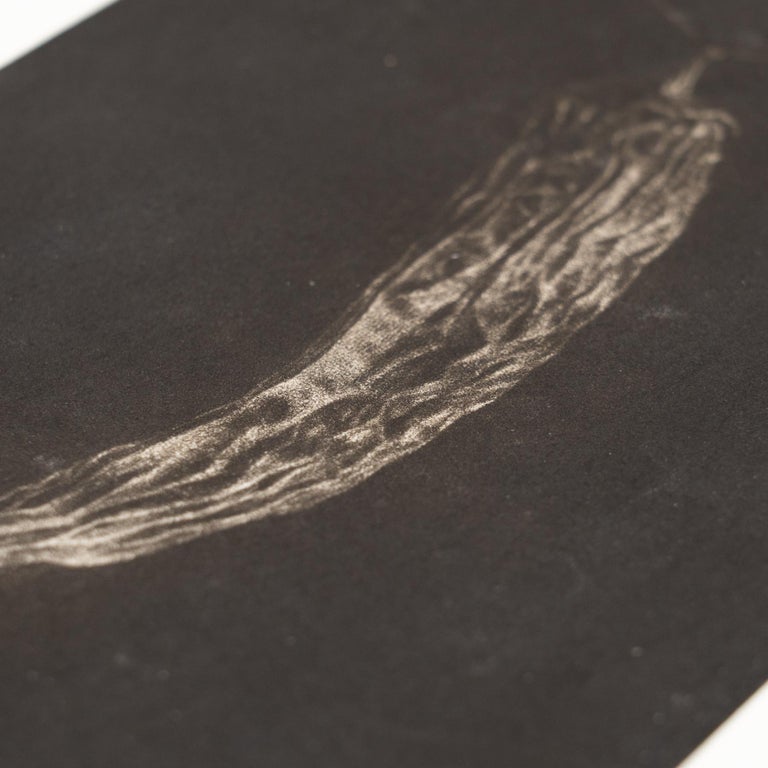 Koichi Sugihara 'Sensual Object 110' Lithograph, circa 1997 For Sale at 1stDibs