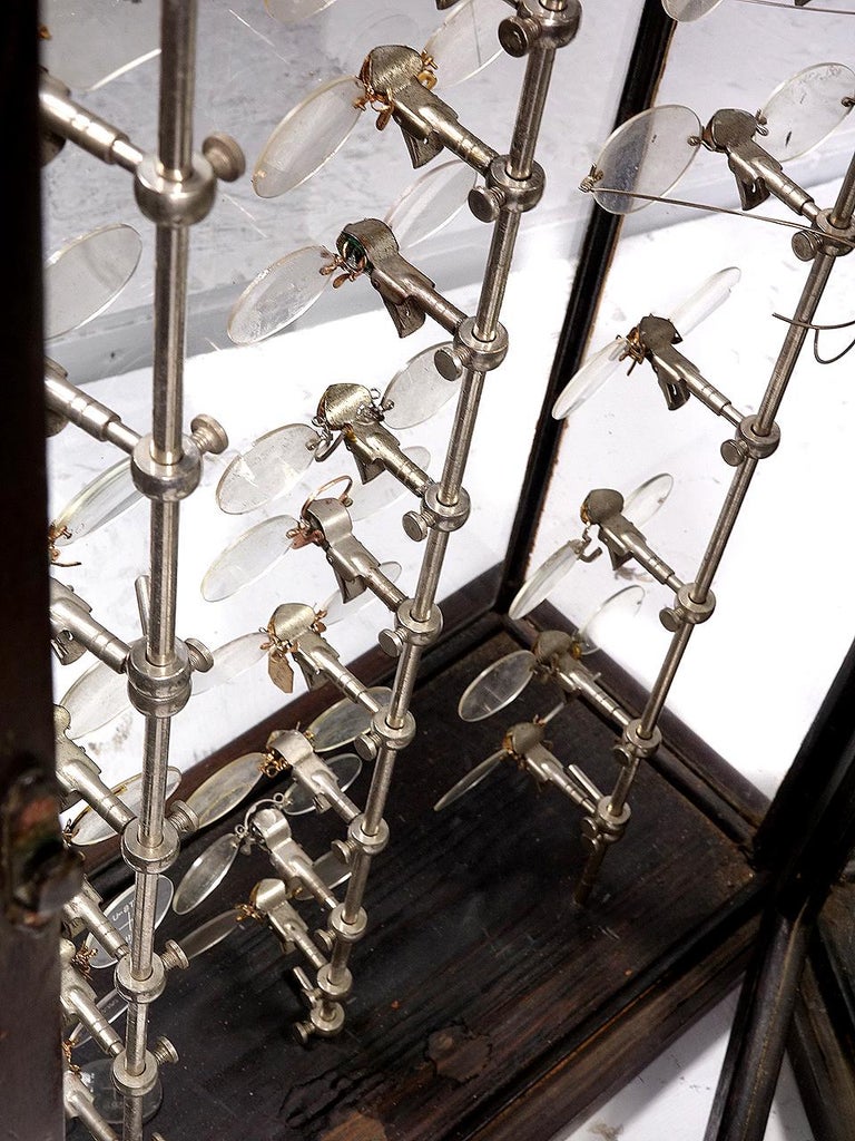 Kryptok Eyeglass Display Case at 1stDibs | eyeglass display box