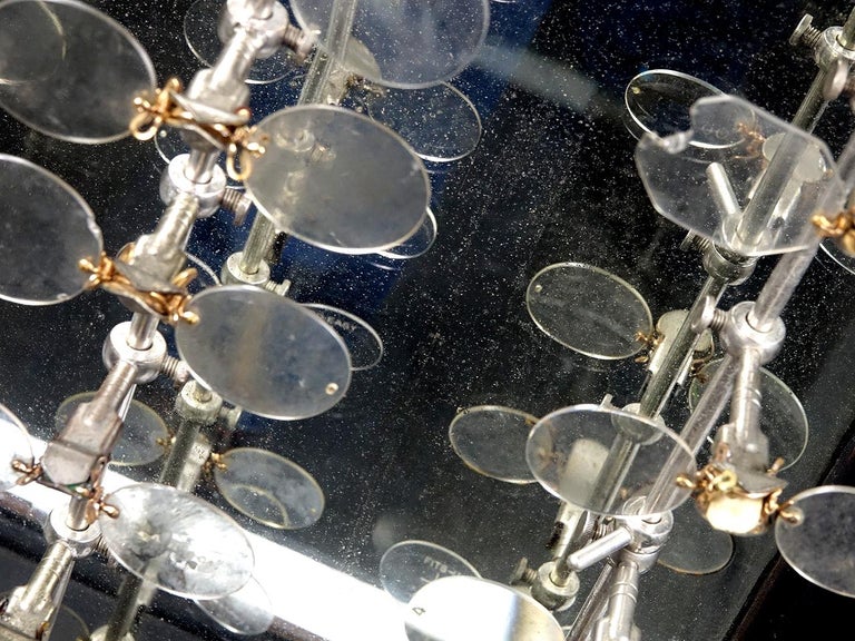 Kryptok Eyeglass Display Case at 1stDibs | eyeglass display box