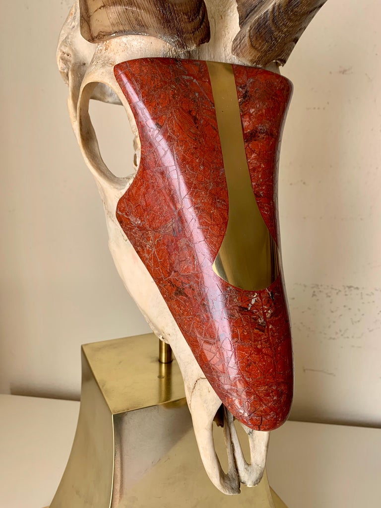 Kudu Skull Sculpture For Sale at 1stDibs