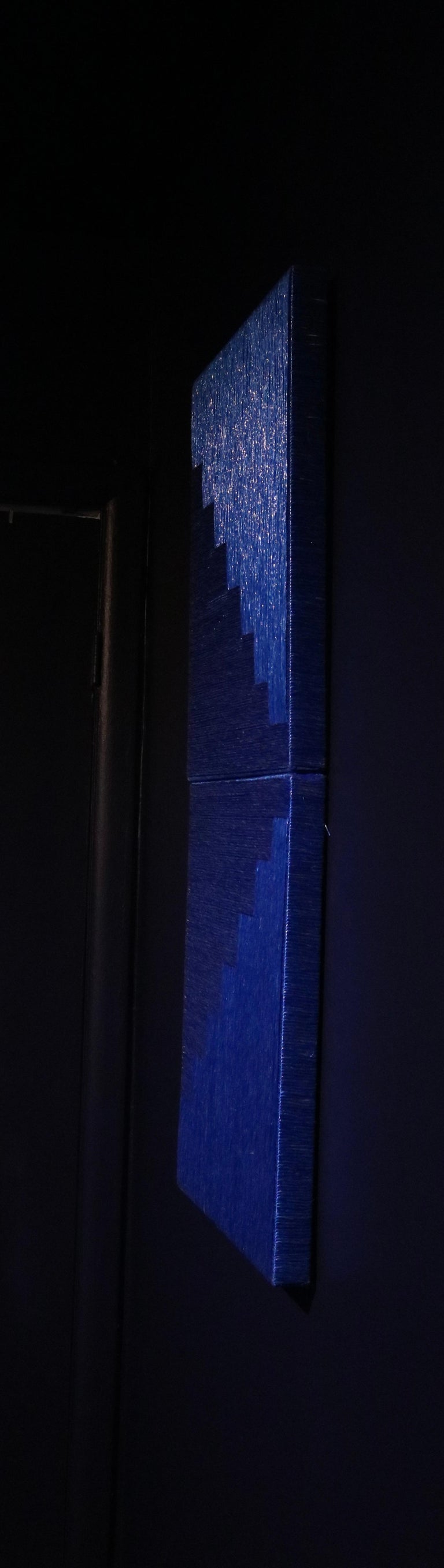 Kurtis Brand - Blue Pita Plastica Diptych (nylon art, minimalist, latin ...