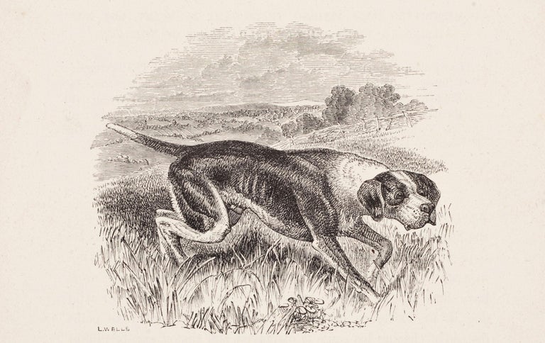 L. Wells - The Spanish Pointer For Sale at 1stDibs