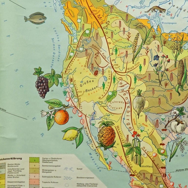 Land Use and Livestock North America Picture Map Wall Chart Poster ...