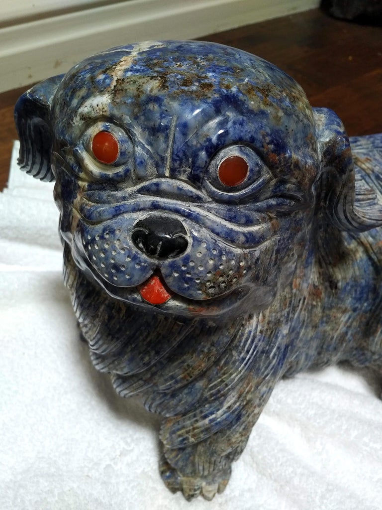 Lapis Pekingese Dogs at 1stDibs