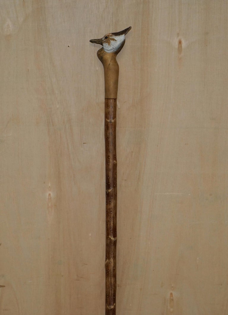 LARGE 141CM TALL SHEPHERDS WALKING STICK WiTH WOODPECKER BIRD HEAD For ...