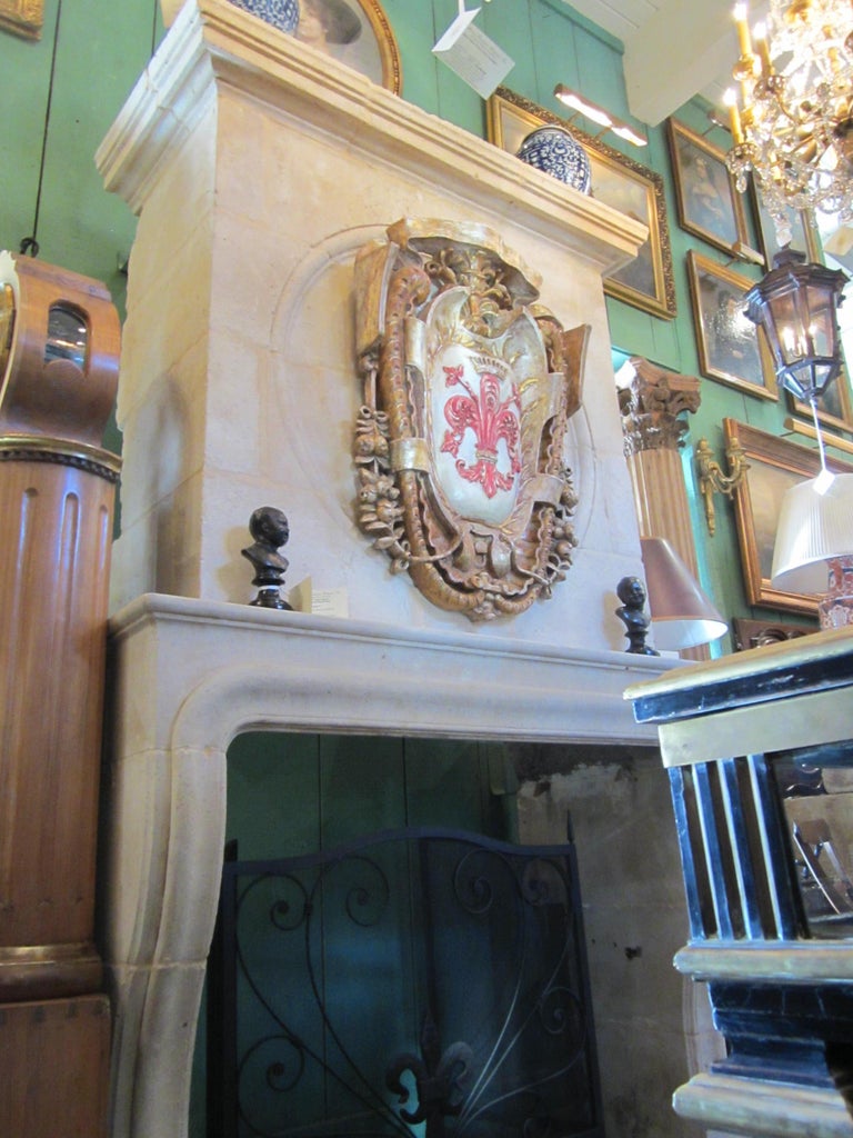 Large 18th Century Family Crest Antique Shield Coat of Arm Armorial ...