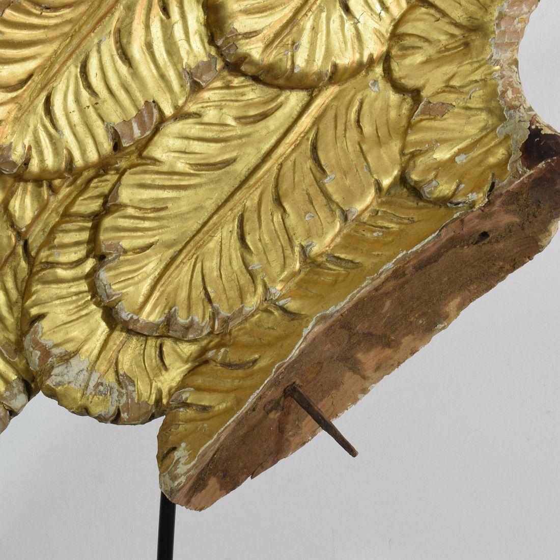 Large 18th Century, Italian Carved Wooden Wing of a Baroque Angel at ...