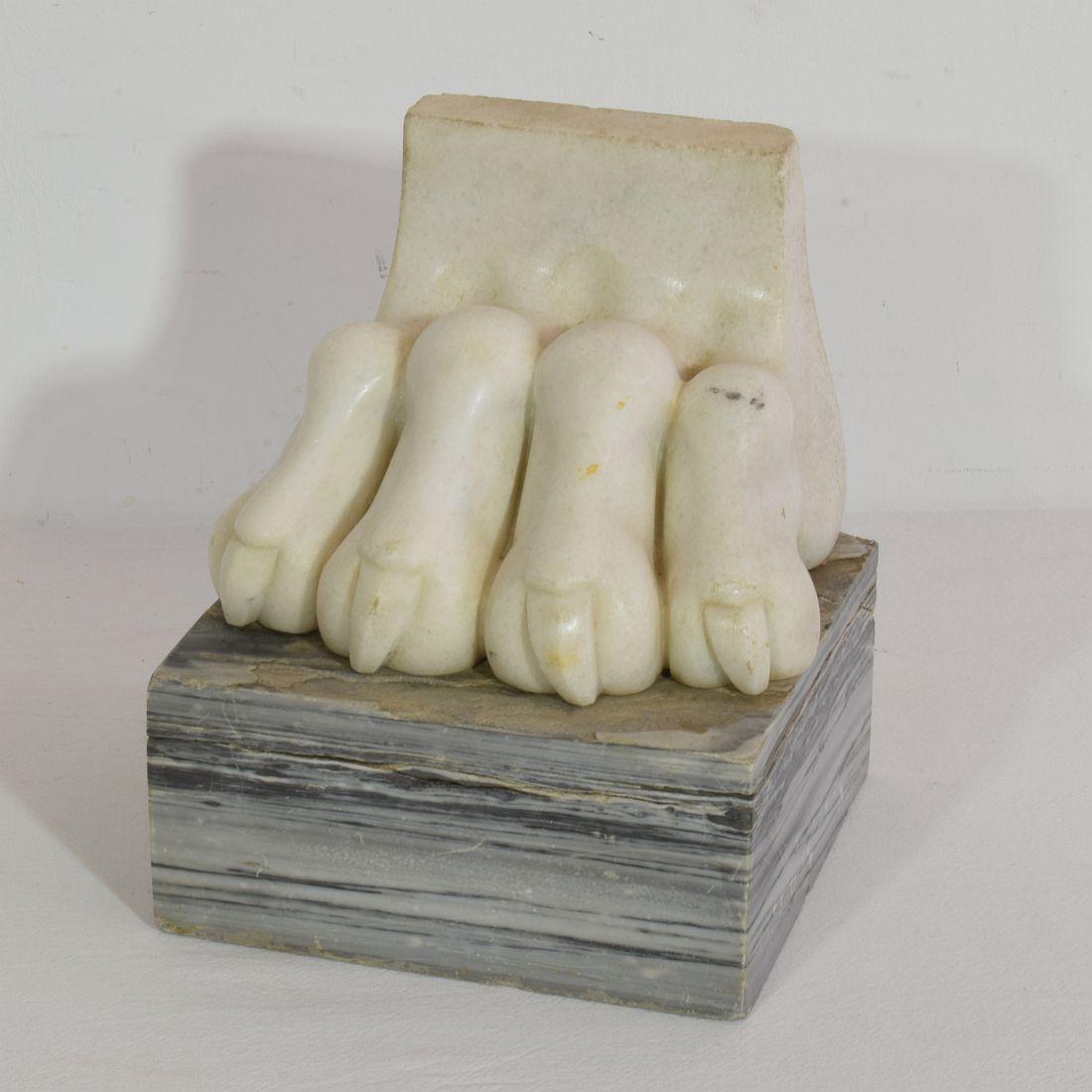 Large 18th Century Italian Marble Claw For Sale at 1stDibs