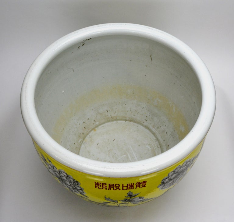 Large Chinese Qing Yellow Glazed Black Floral Porcelain Jardiniere For ...