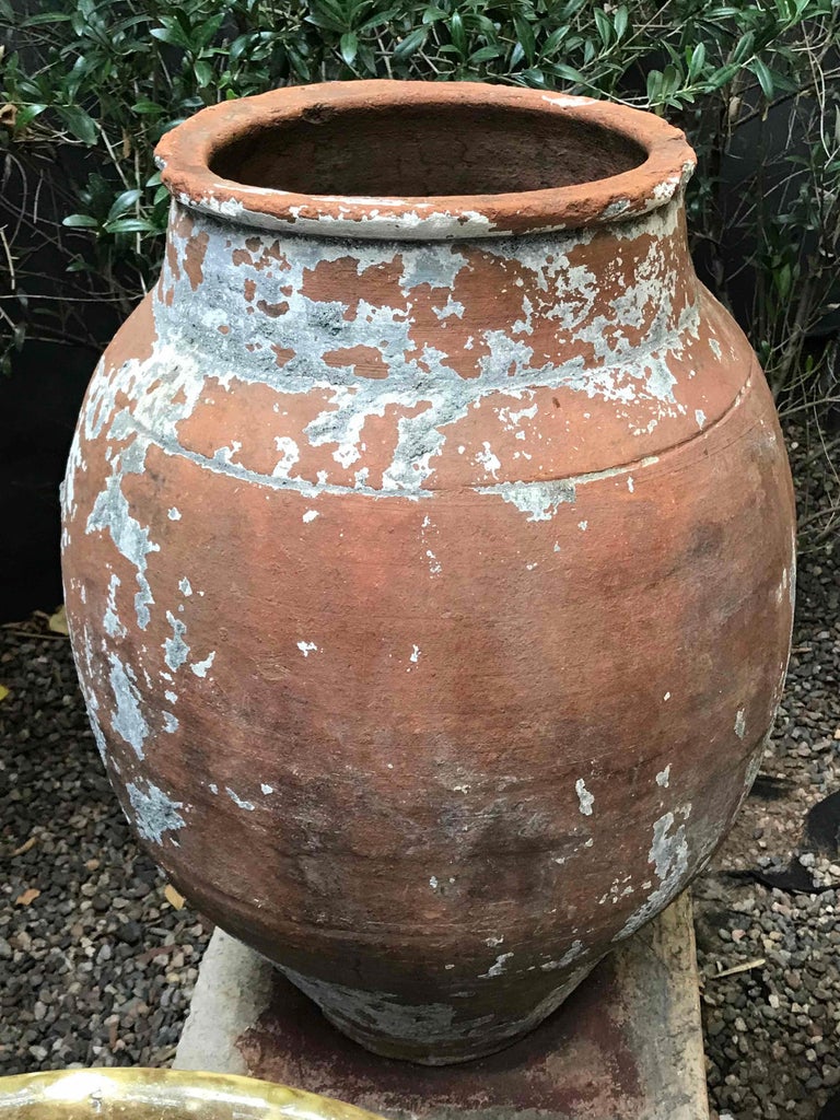Large 19th Century Terra Cotta Pot with Tapered Base from France at 1stDibs