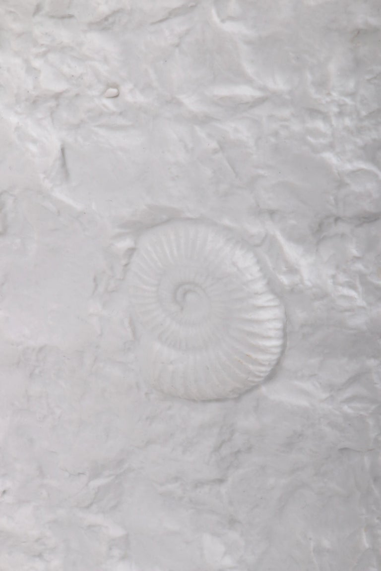 Large AK Kaiser Porcelain Vase with a White Shell Fossil Pattern For ...