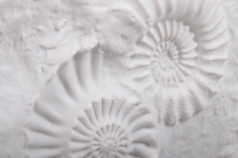 Large AK Kaiser Porcelain Vase with a White Shell Fossil Pattern For ...