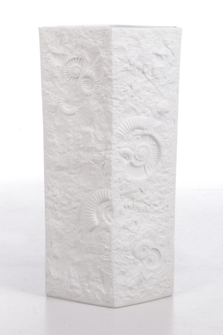 Large AK Kaiser Porcelain Vase with a White Shell Fossil Pattern For ...