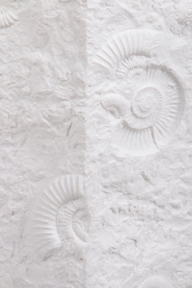 Large AK Kaiser Porcelain Vase with a White Shell Fossil Pattern For ...