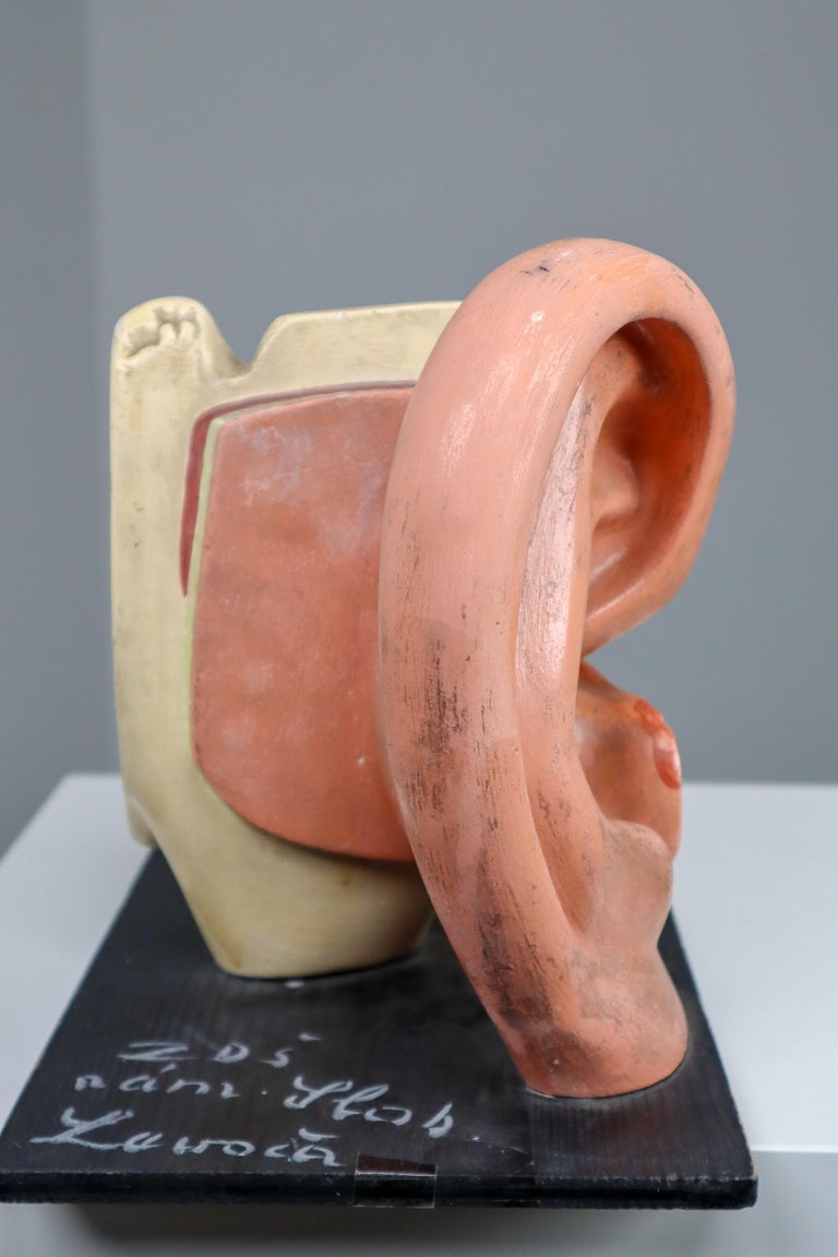 Large Anatomical Teaching "Human Ear" Model Plaster and Wood Germany ...