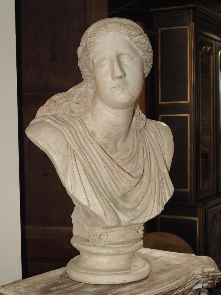 Large and Impressive 19th Century Plaster Bust of Niobe at 1stDibs