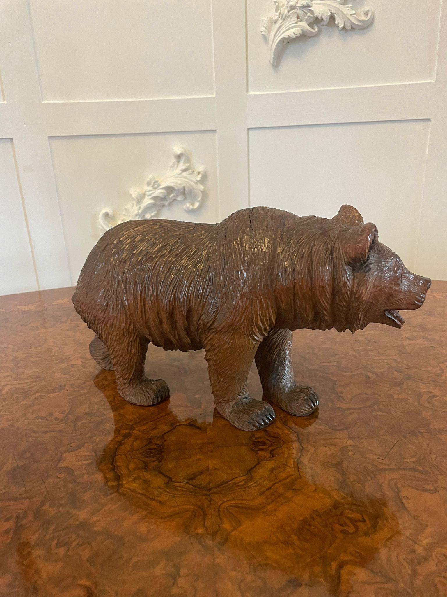 Large Antique 19th Quality Carved Black Forest Bear For Sale at 1stDibs