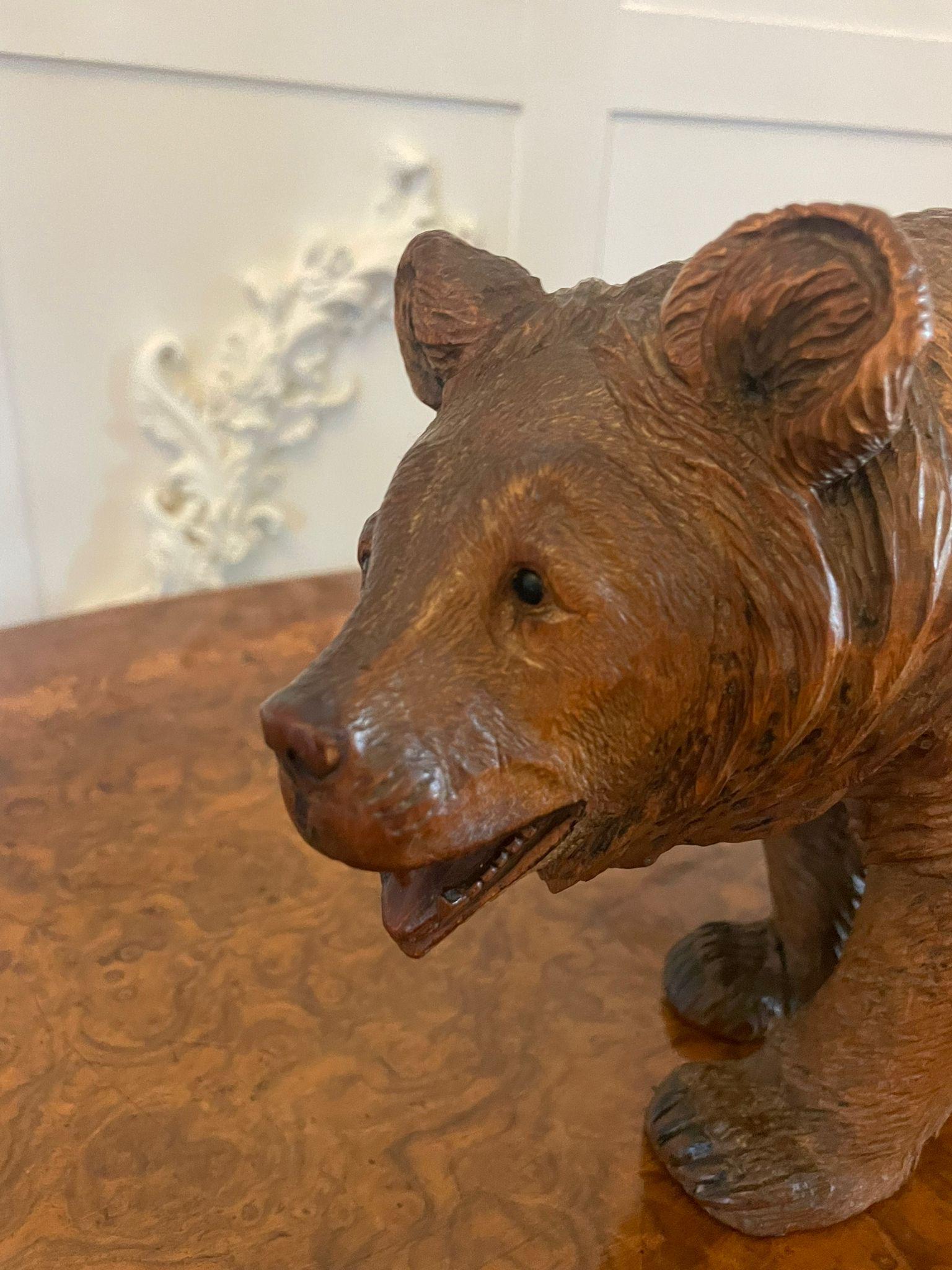Large Antique 19th Quality Carved Black Forest Bear For Sale at 1stDibs