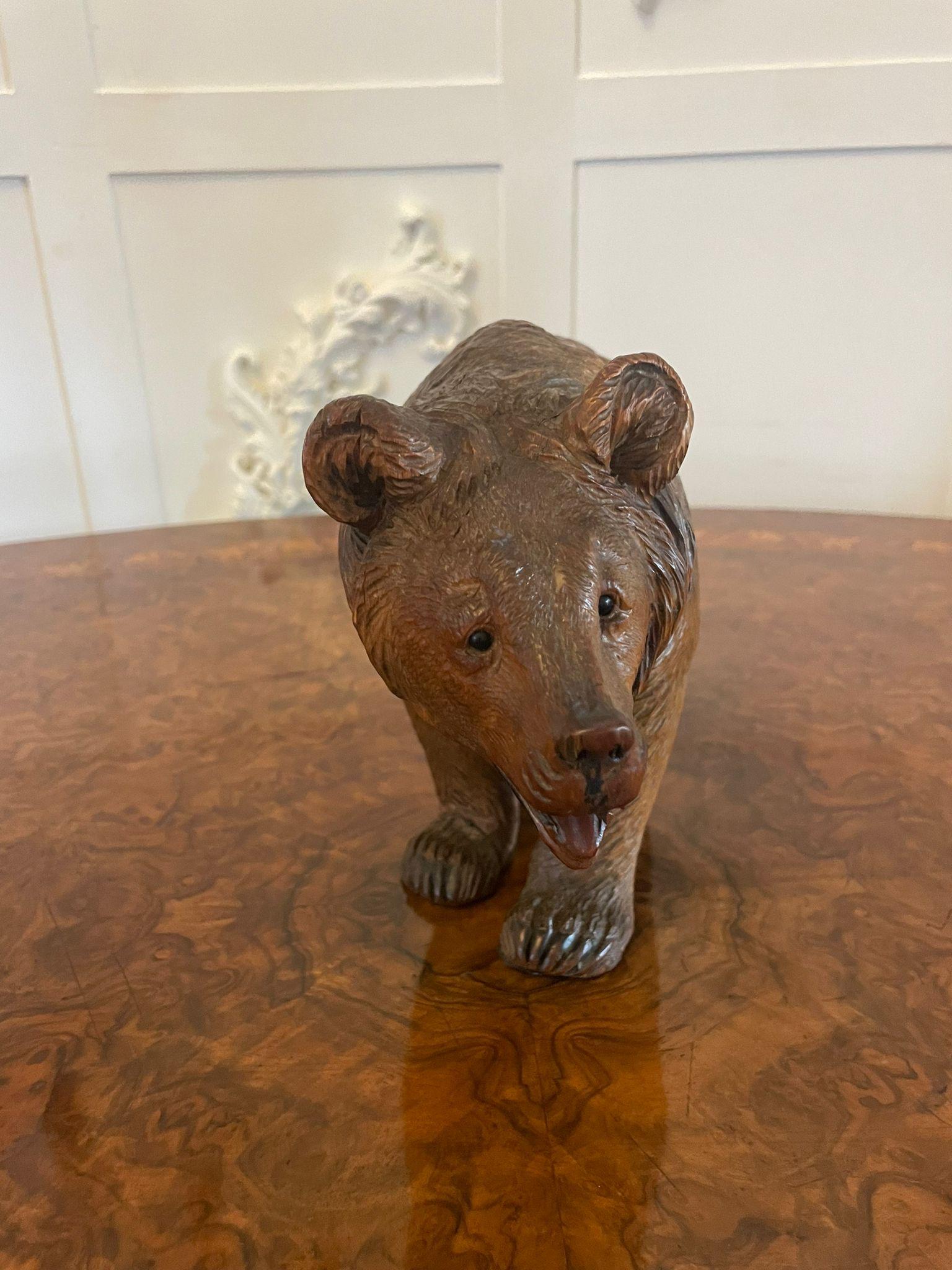 Large Antique 19th Quality Carved Black Forest Bear For Sale at 1stDibs