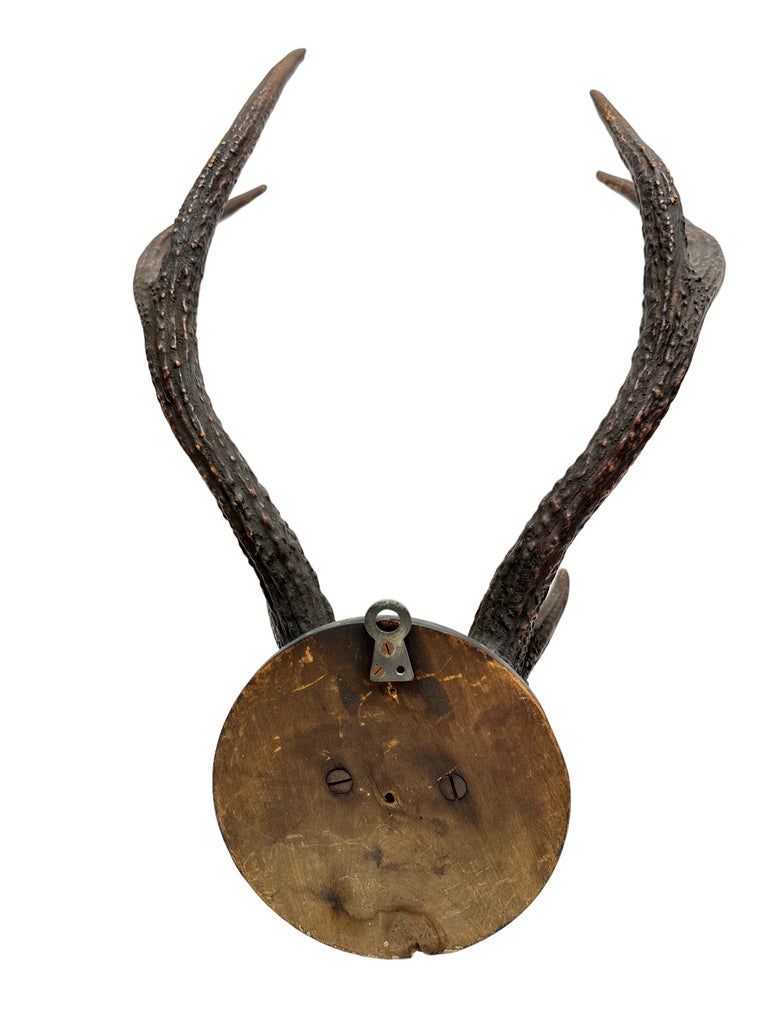 Large Antique Black Forest Deer Antler Trophy Wood Carved Plaque ...