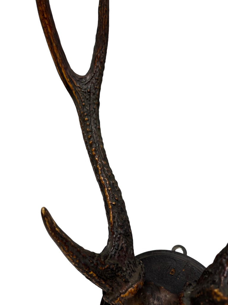 Large Antique Black Forest Deer Antler Trophy Wood Carved Plaque ...