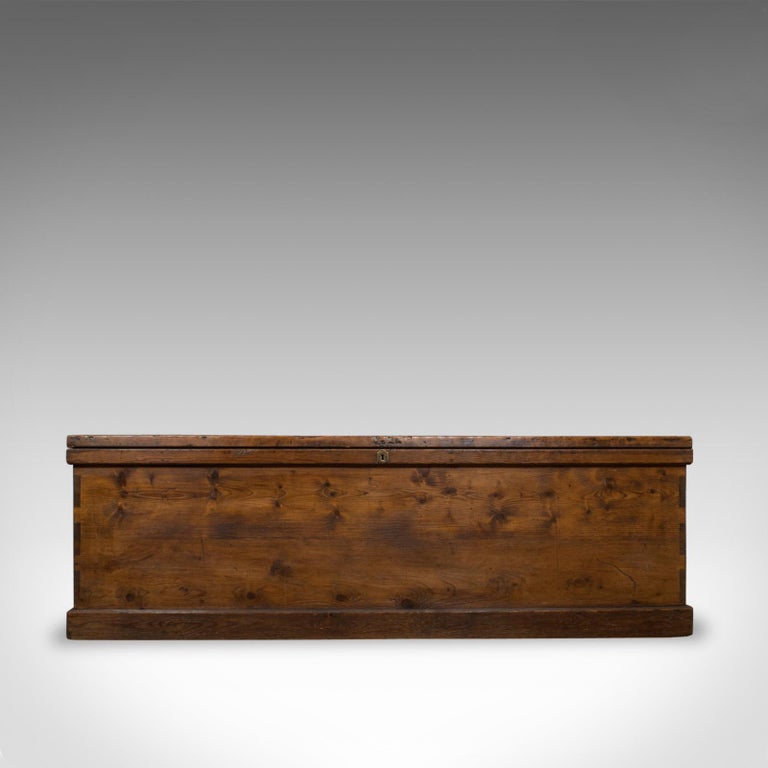 Large Antique Coffer, English, Pine, Storage, Chest, Trunk, Victorian ...