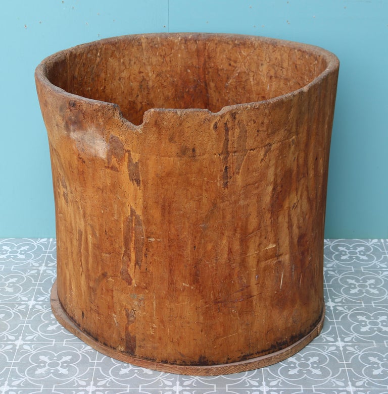 Large Antique Dug-out Tree Trunk Log Bin at 1stDibs