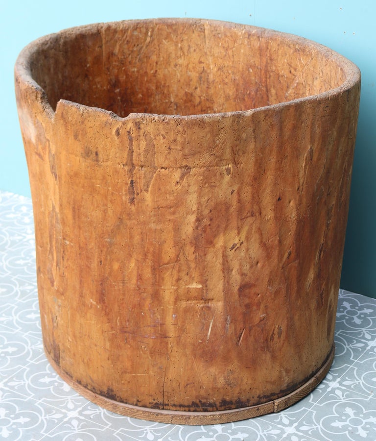 Large Antique Dug-out Tree Trunk Log Bin at 1stDibs