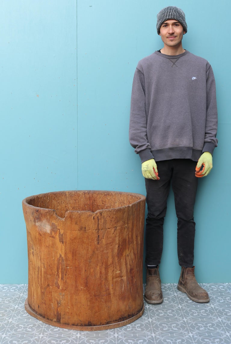 Large Antique Dug-out Tree Trunk Log Bin at 1stDibs