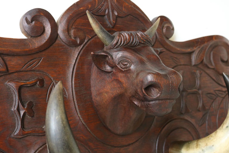 Large Antique French Carved Oak Coat Rack with Cow Head 1900 Bull / Cow ...